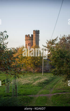 Trees, clent, england Stock Photo - Alamy