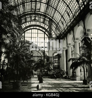 Inside view of Vienna Palmenhaus, Schonbrunn Stock Photo - Alamy