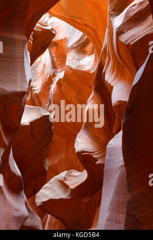 Natural patterns and intricate features of the distinctive rock ...