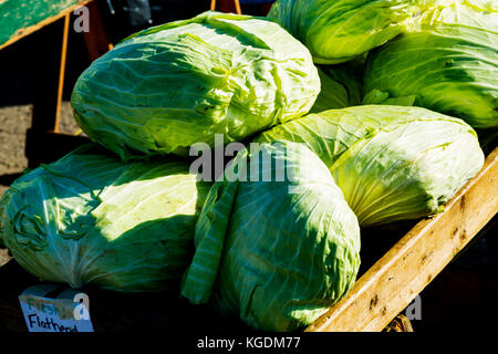 Flat head cabbage for sale at market stand. St. Jacobs Market Ontario ...