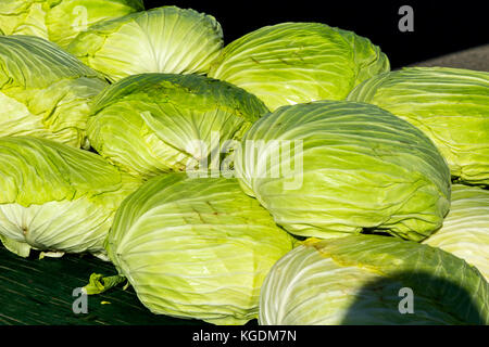 Flat head cabbage for sale at market stand. St. Jacobs Market Ontario ...