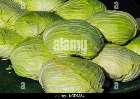 Flat head cabbage for sale at market stand. St. Jacobs Market Ontario ...