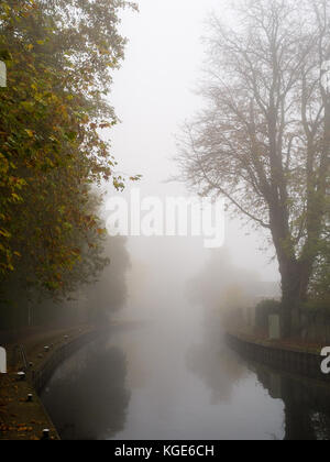 River Thames nr Caversham Lock, Reading, Berkshire, England, UK, GB ...