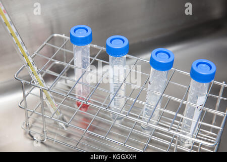 Falcon tubes and rack in a hot water bath at laboratory Stock Photo - Alamy