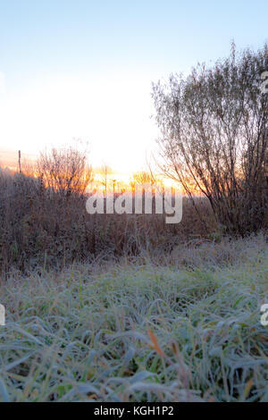 October predawn fog Stock Photo - Alamy