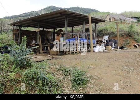 LAFERM COCO À BAMBOUS VIRIEUX Stock Photo - Alamy