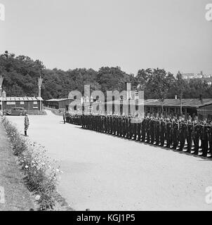 The Reich Labour Service RLA (Reichsarbeitsdienst, RAD), Brno Stock ...