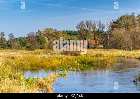 Autumn on the river Grabia, Poland Stock Photo - Alamy