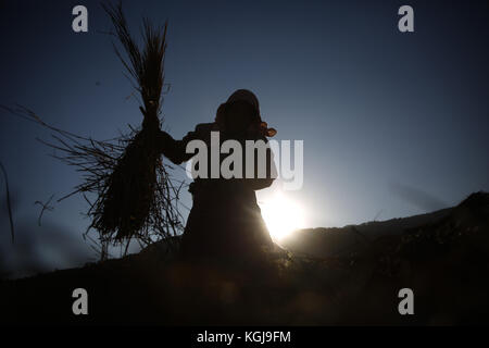 November 2017. Woman in Nepal spinning wool. She is a member of the ...
