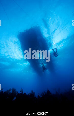 Scuba divers ascending Stock Photo - Alamy