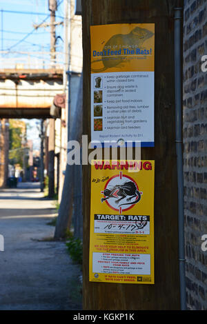 Rat poisoning sign in an alley in Chicago Stock Photo - Alamy