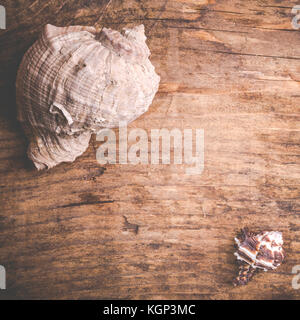 seashell on old wooden surface Stock Photo - Alamy