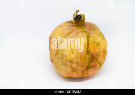 Rotten pomegranate fruit. Isolated on a white background Stock Photo ...