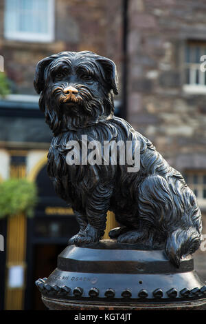 grey friars bobby statue in Edinburgh Stock Photo - Alamy