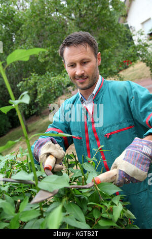 portrait of smiling male gardener Stock Photo - Alamy
