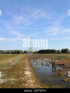 Wetland pond, Goose Pond Fish and Wildlife Area, Indiana Stock Photo ...