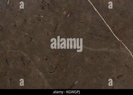 Crack in patterned floor tile in a building space Stock Photo - Alamy