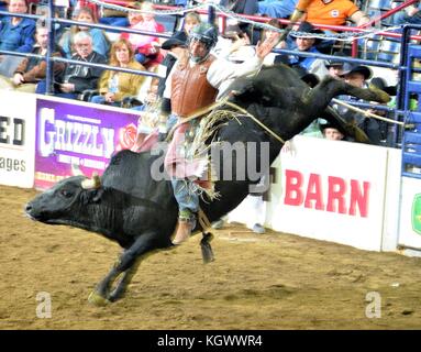 Denver Rodeo Events Stock Photo - Alamy