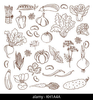 Fresh cucumber icon in outline style isolated on white background Stock ...