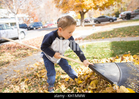 Boy 8 raking leaves into a pile in back yard Stock Photo: 2677418 - Alamy