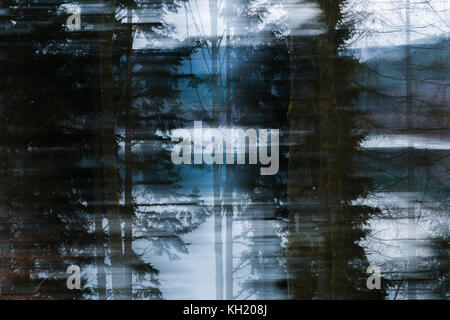Forest near a Lake with fading Trees Stock Photo - Alamy
