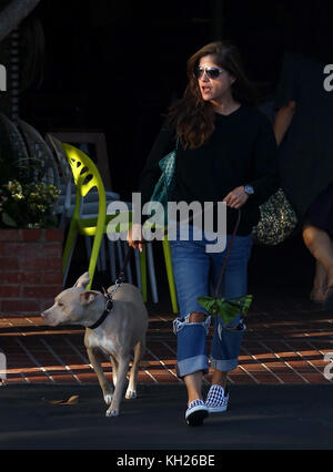 Selma Blair spotted going to Fred Segal with her dog in West Hollywood ...