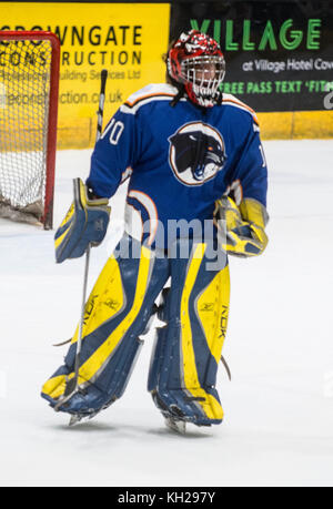 Coventry Panthers V Cardiff redhawks Stock Photo - Alamy