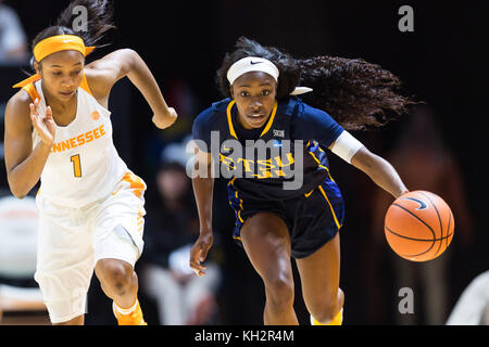 November 12, 2017: Erica Haynes-Overton #20 of the East Tennessee State ...