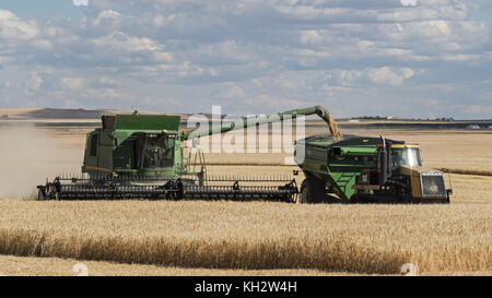 Gleichen, Alberta, Canada. 19th Sep, 2017. Highway direction traffic ...