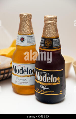 Bottles of Mexican beer Modelo Stock Photo - Alamy