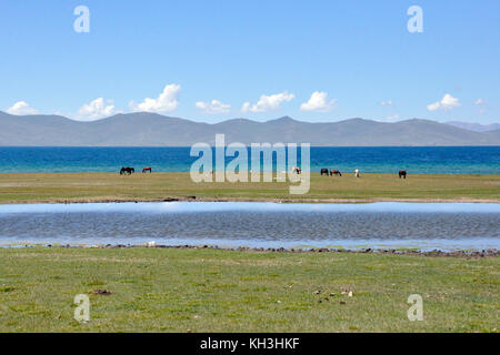 Kyrgyzstan Song Kul Lake Stock Photo - Alamy