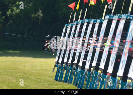 Archery arrows in target boss Stock Photo - Alamy
