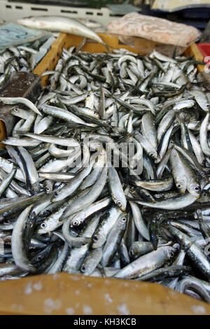 traditional fish market in split in croatia Stock Photo - Alamy