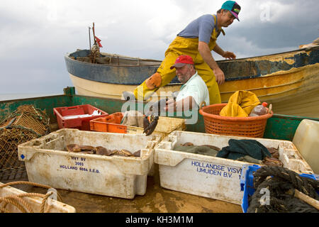shellfish being landed on Weybourne beach Norfolk Stock Photo - Alamy