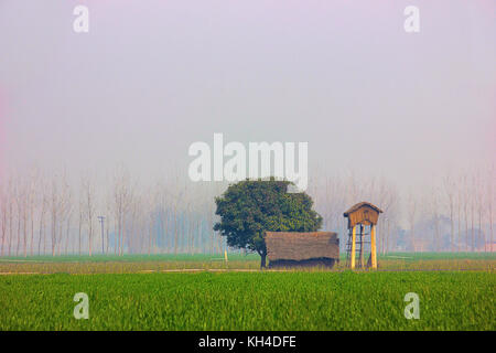 machan tree house dudhwa national park wildlife sanctuary uttar pradesh ...