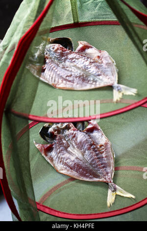 making japanese dried fish, sakana no himono, japanese food Stock Photo ...