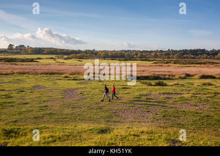 Dingle marshes, Dunwich, Suffolk, UK Stock Photo - Alamy