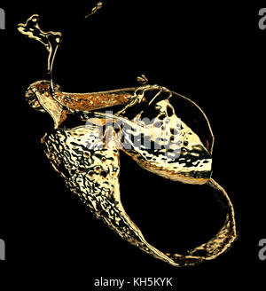 Melted gold or oil splashes isolated on black. 3d render, 3d ...