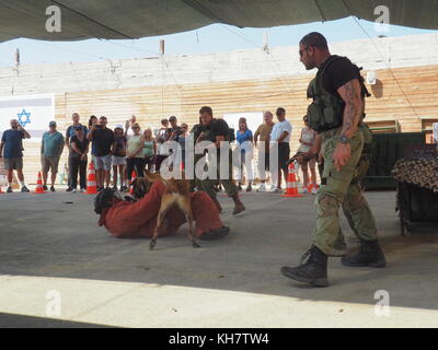 Eitan Cohen, head of the combat trainers at the Israeli shooting range ...