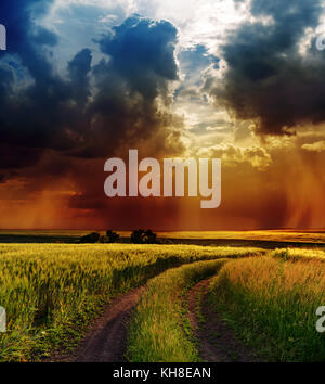 A beautiful orange dusky sky over a field in South Africa Stock Photo ...