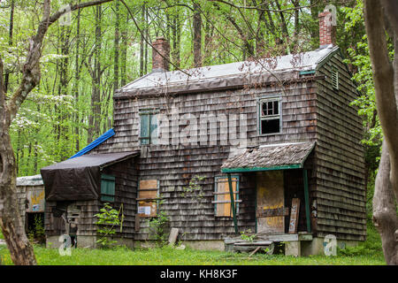 Spooky shack in the woods Stock Photo: 24027612 - Alamy