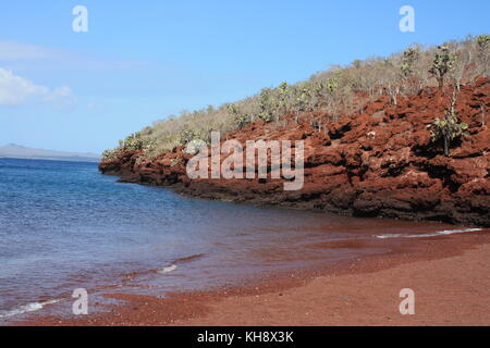 Amazing scenery on Galapagos Islands, Ecuador Stock Photo - Alamy
