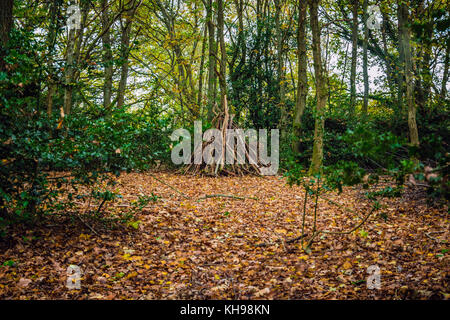 Yateley Common Country Park, Hampshire, England UK Stock Photo - Alamy