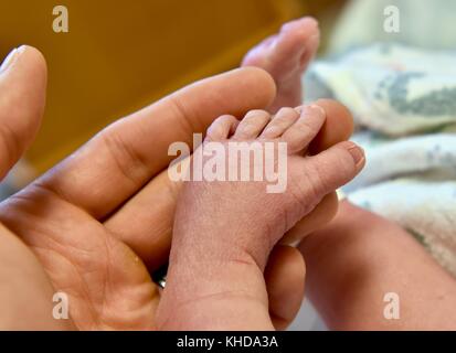 cute little baby feet in the afternoon Stock Photo - Alamy