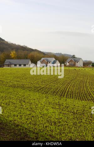 Construction of affordable housing on a greenfield site, Wales, UK ...