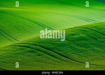 Green wavy hills in South Moravia Stock Photo - Alamy