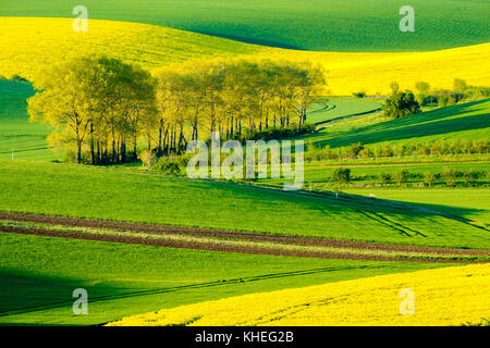 Wavy meadows spring landscape in South Moravia Stock Photo - Alamy