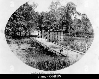 Herbert River Bridge, Ingham, Queensland circa 1890 (aka Gairloch ...