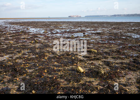 Lepe Country Park, foreshore and beach over looking The Solent and the ...