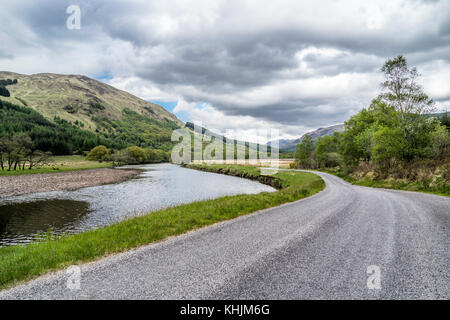Scottish single track road street lined with old oak trees in spring ...